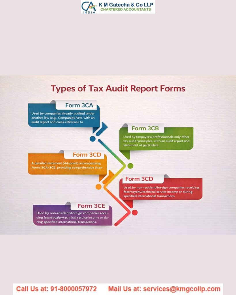 Navigate Income Tax Audits with Expert CA Support